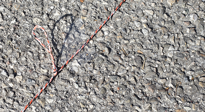 thelawlers.com | The Blognosticator | Page 2